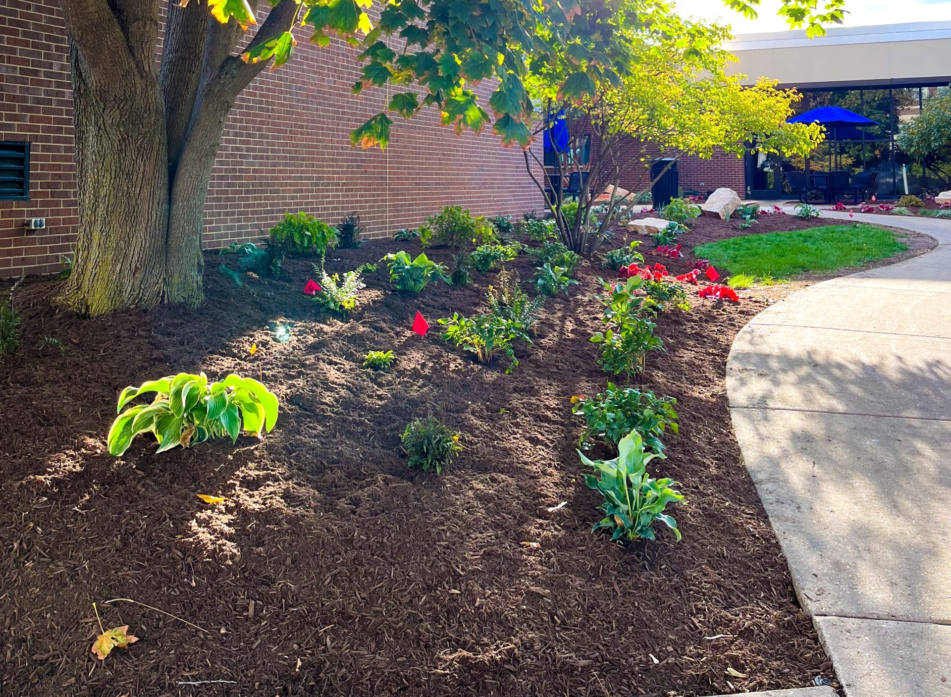Sustainable Landscaping Solutions for Chicagoland Homes - Inspire ...